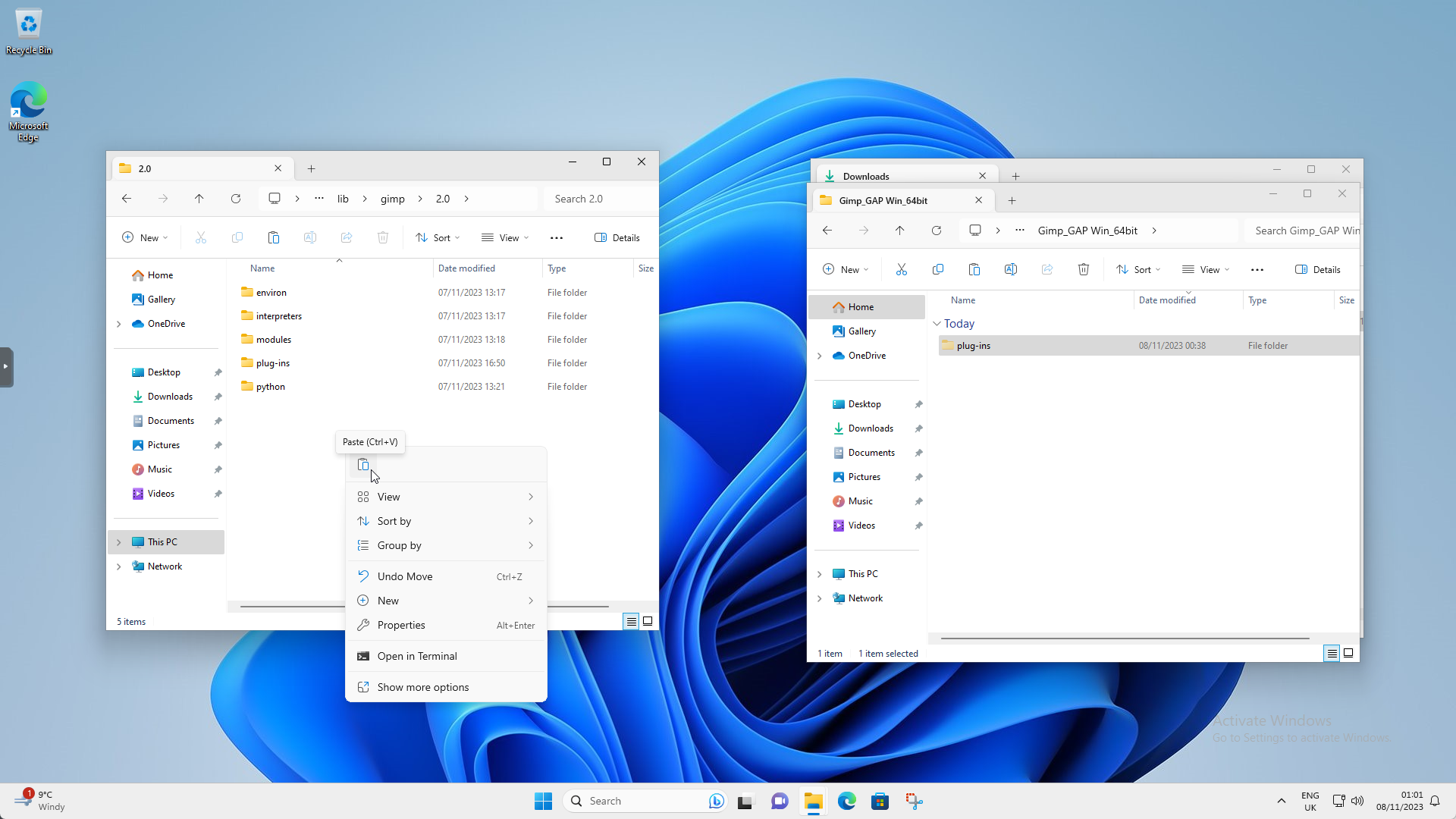 Gimp 101 part 4 – Installing GIMP-GAP 2.6 in Windows - Andrzej Langowski