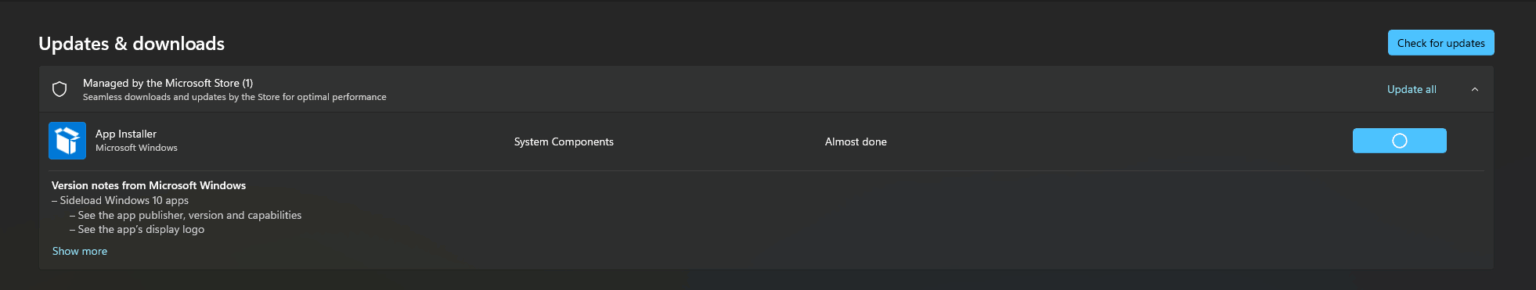 [SOLVED] Windows 11 24H2, Winget upgrade App Installer, Microsoft.AppInstaller – An unexpected ...