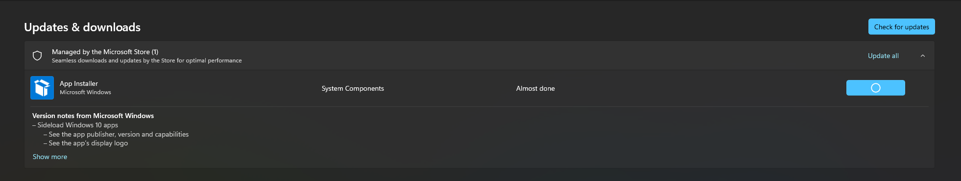 [SOLVED] Windows 11 24H2, Winget upgrade App Installer, Microsoft.AppInstaller – An unexpected ...